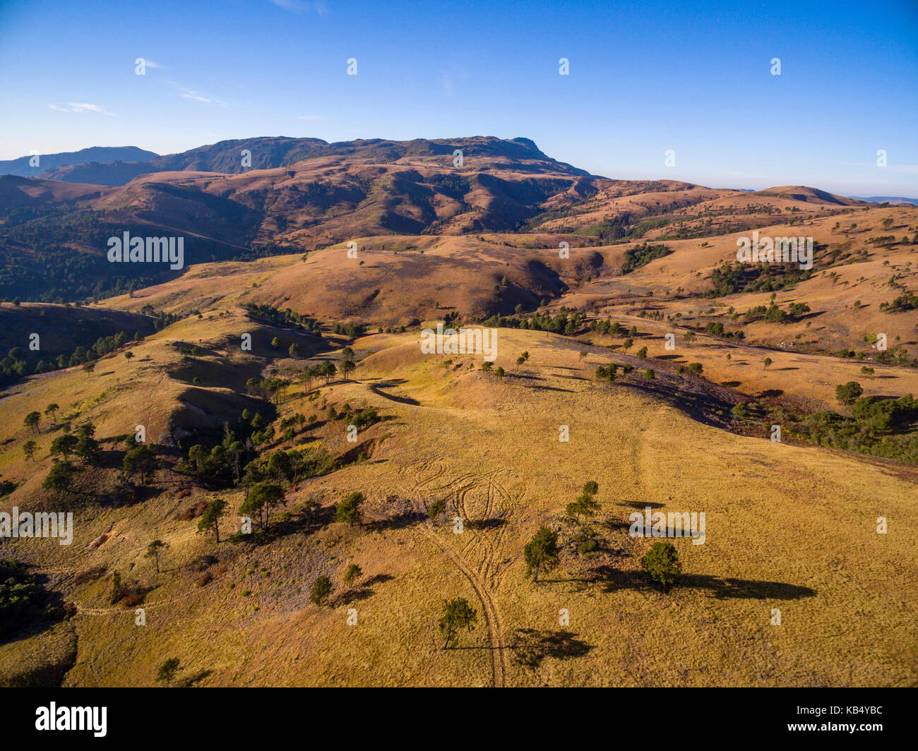 Nyanga plateau hi-res stock photography and images - Alamy