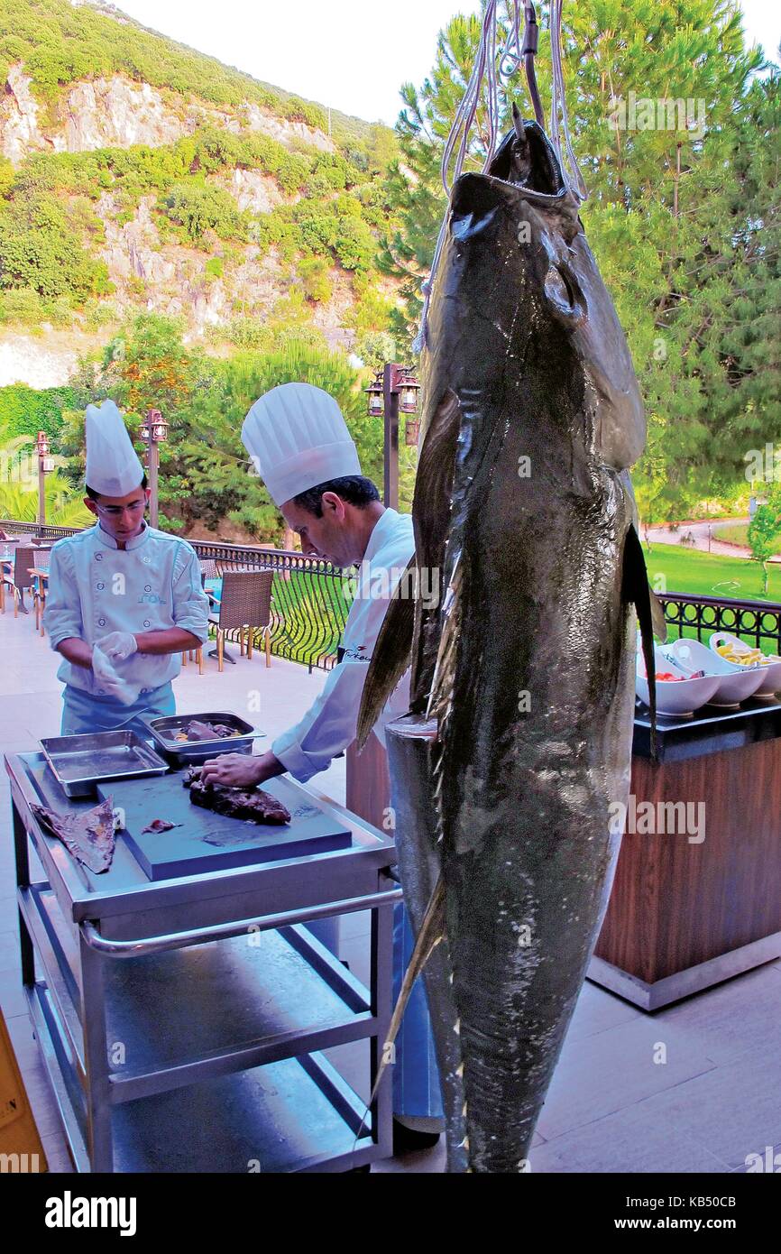 Huge Tuna hanging from the roof being prepared for lunch at a Turkish ...