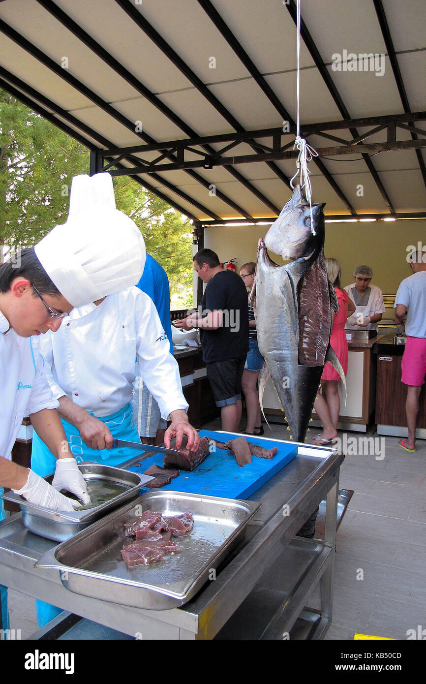 Huge Tuna hanging from the roof being prepared for lunch at a Turkish ...
