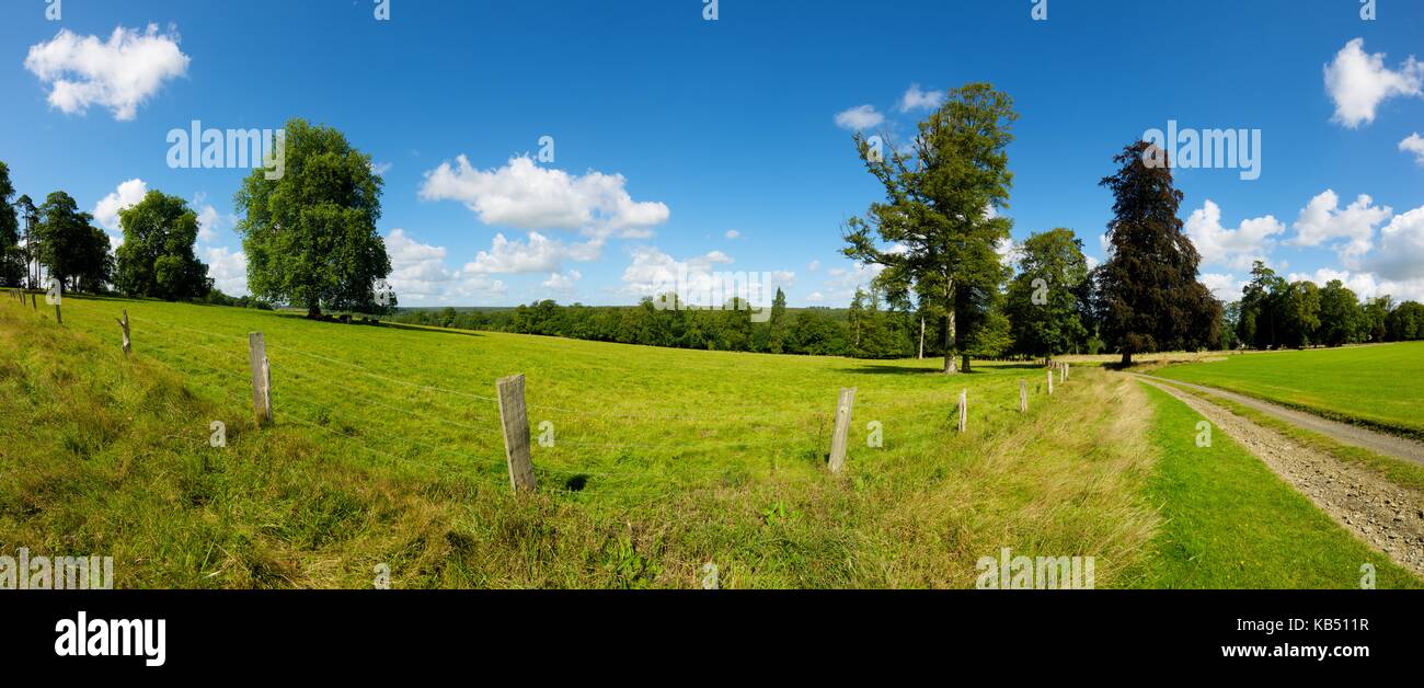 Green meadow with trees in Normandy, France Stock Photo - Alamy