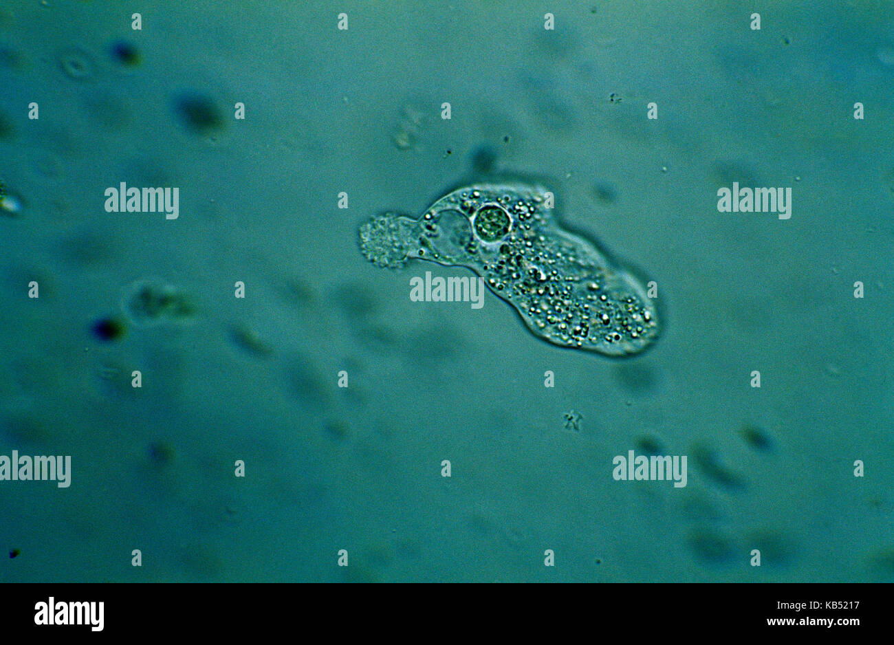 Image magnification hi-res stock photography and images - Alamy