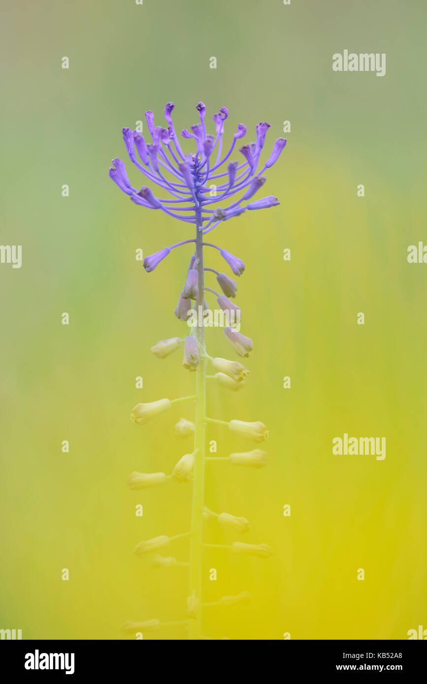 Bxfckki nemzeti park hi-res stock photography and images - Alamy