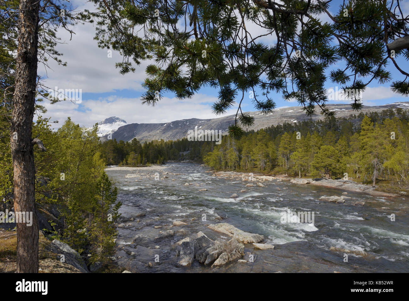 Semska stodi nature reserve hi-res stock photography and images - Alamy