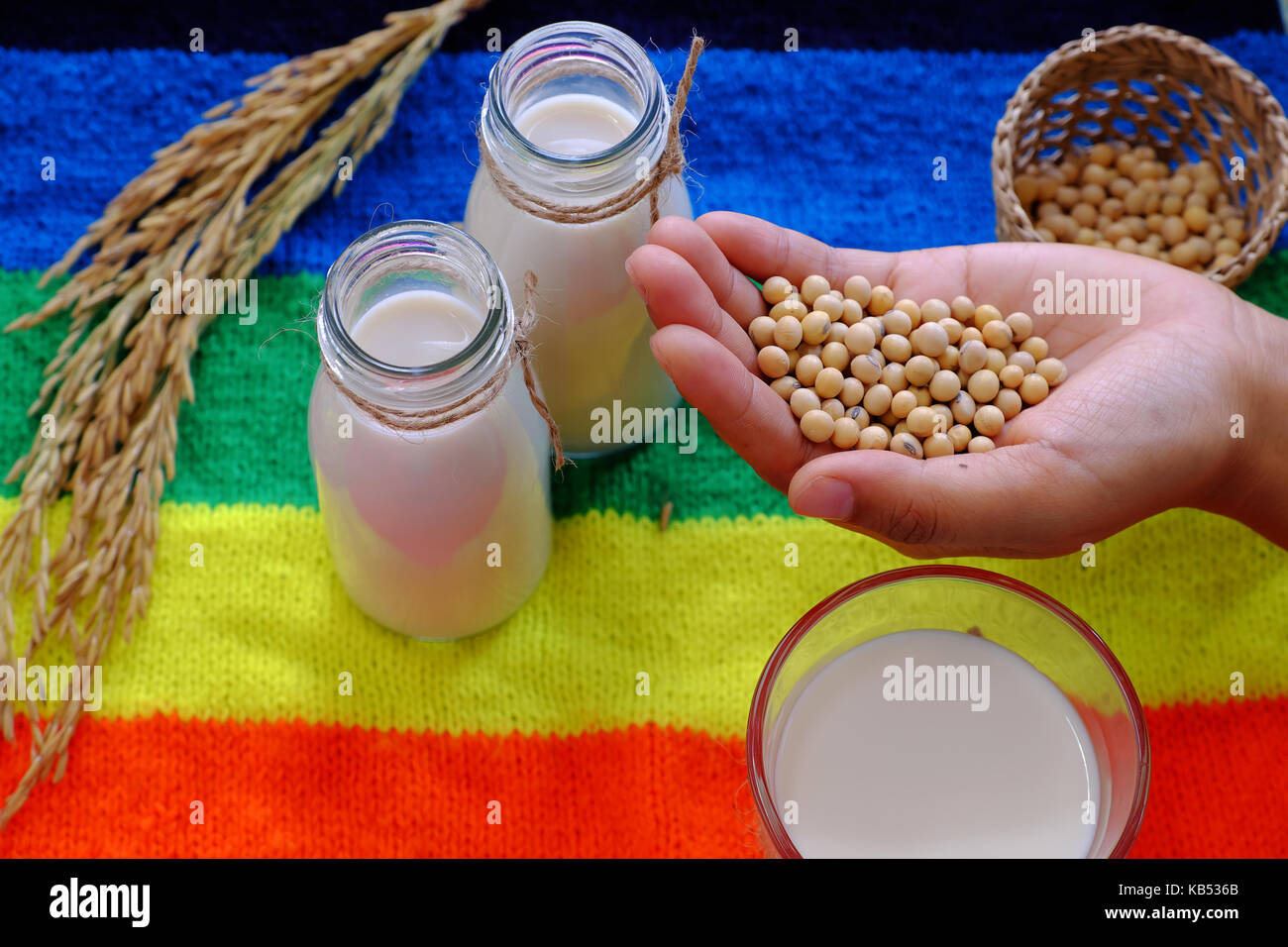 Homemade soy milk for breakfast drink, soya milk and soybean on ...