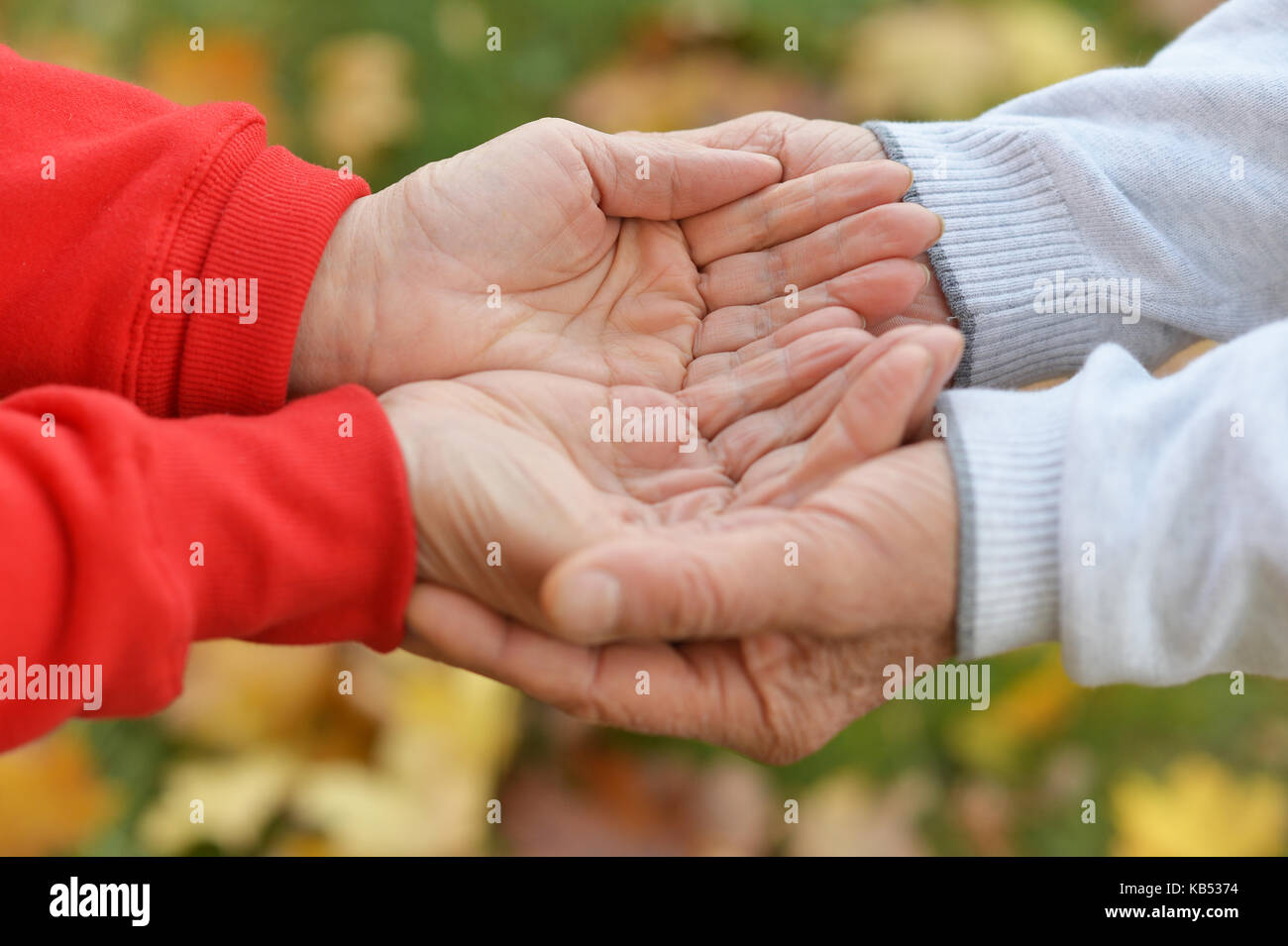 Elderly couple holding hands Stock Photo - Alamy