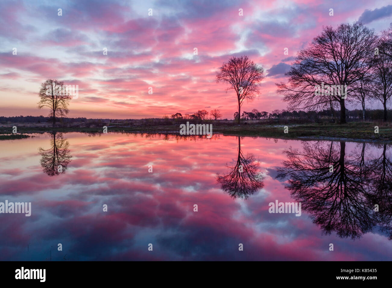 Sky with pink coloured clouds and reflection at small lake, The ...