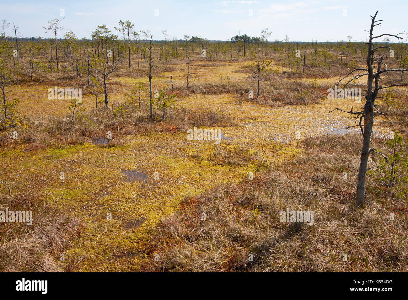 Bogland europe hi-res stock photography and images - Alamy