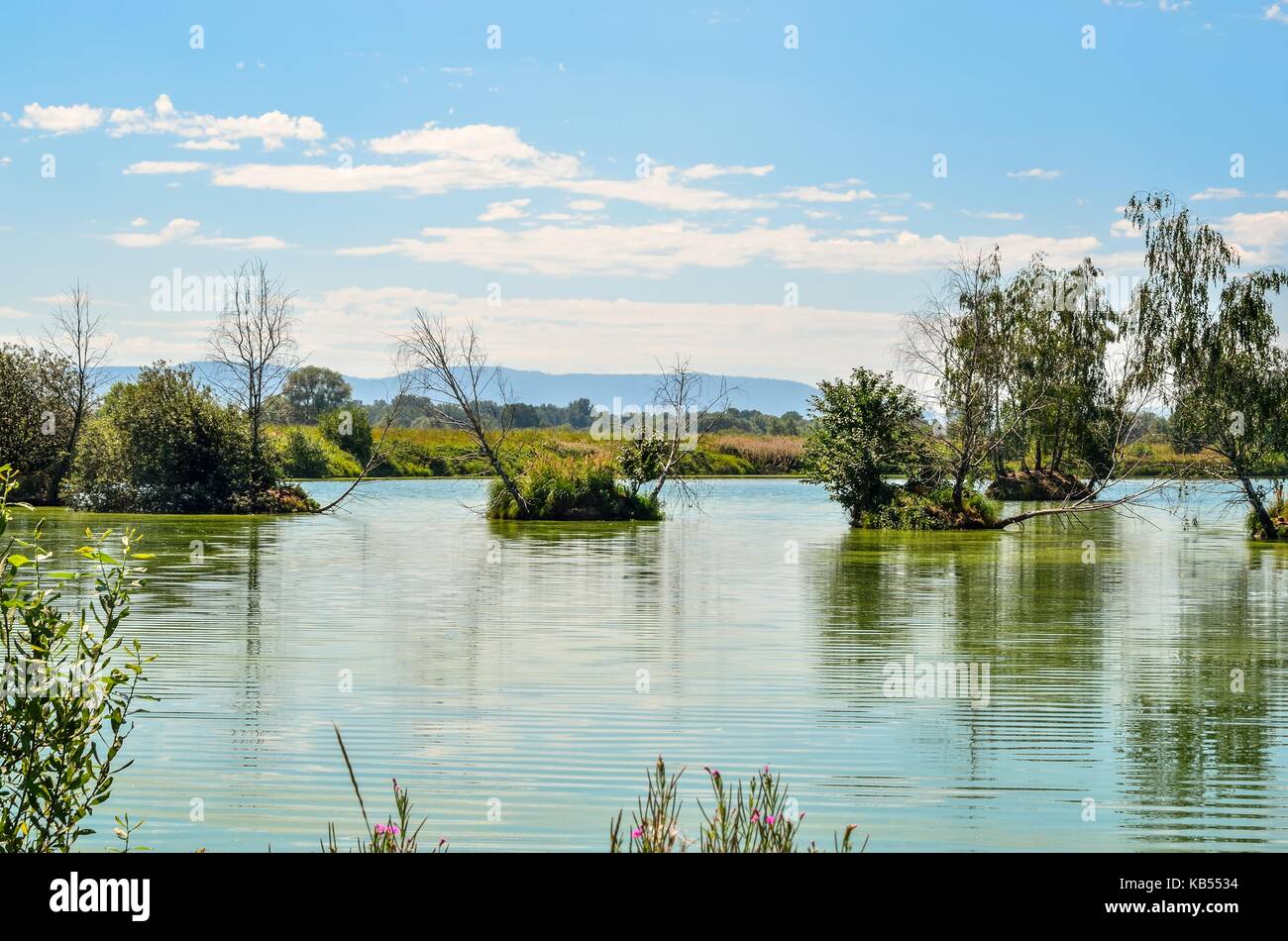 Sunny summer landscape. Beautiful pond in the countryside with ...