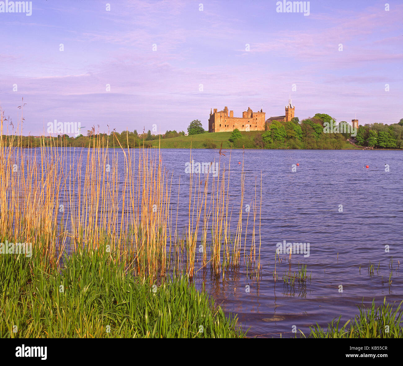 Summer view across Linlithgow Loch towards Linlithgow Palace, West ...