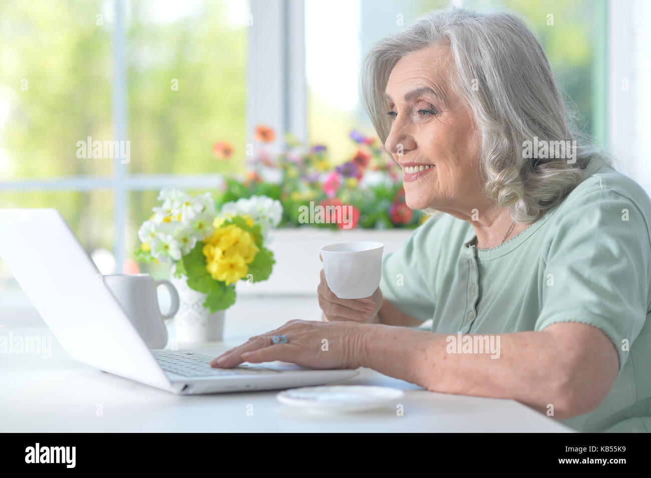 Beautiful old woman with a laptop Stock Photo - Alamy