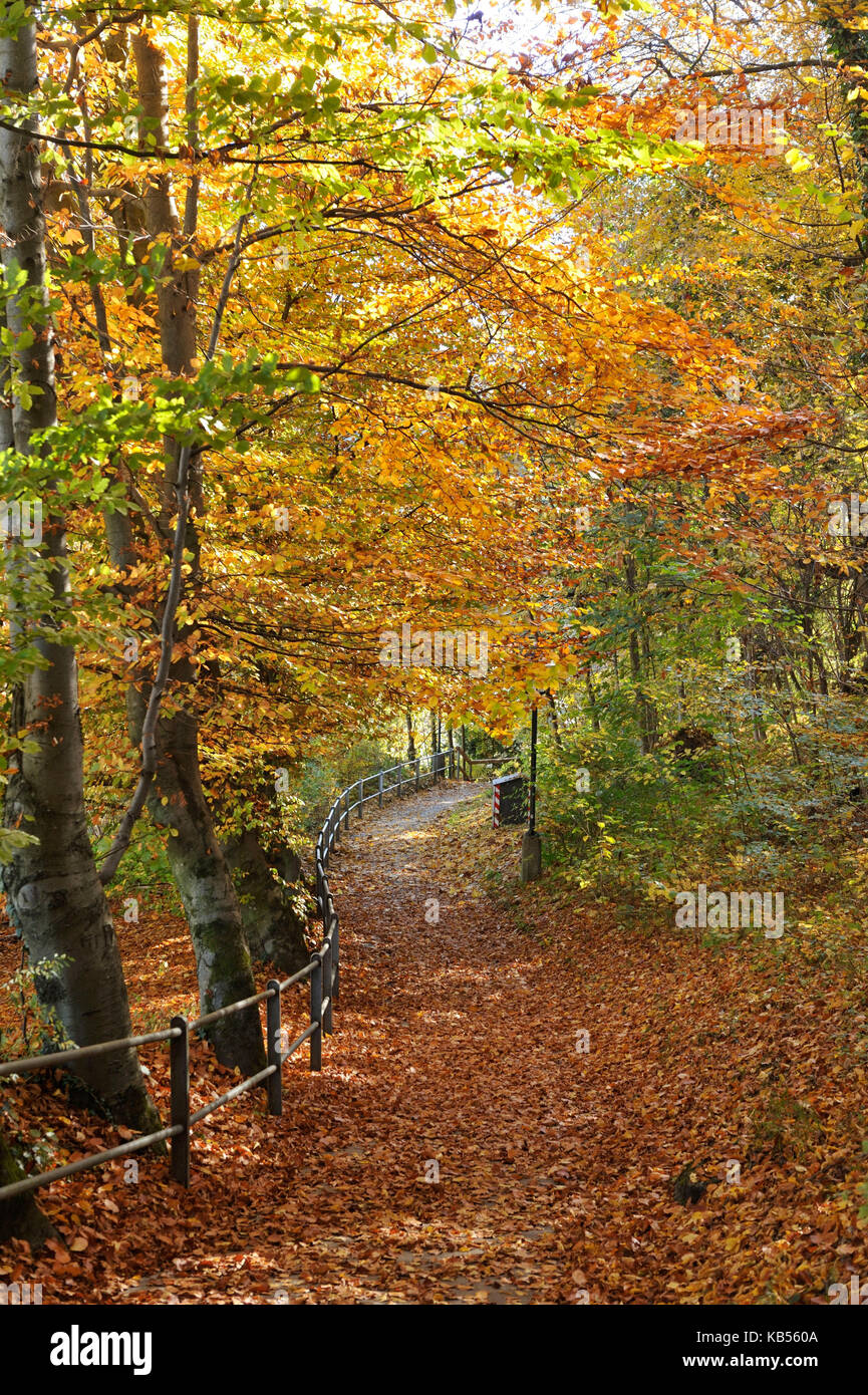 Monchsberg hi-res stock photography and images - Alamy
