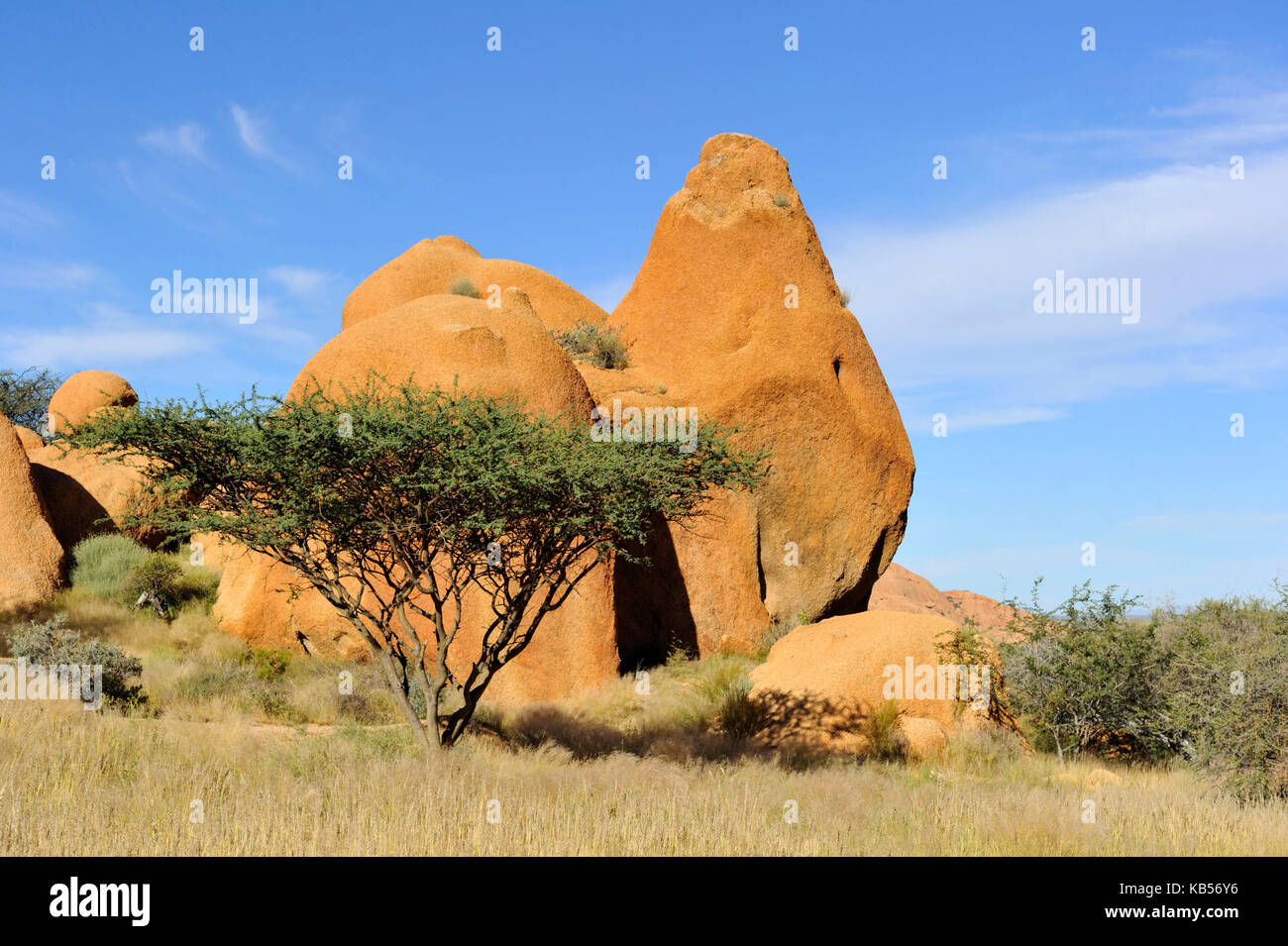 Namibia, Erongo, Damaraland, Namib desert, Spitzkoppe or Spitzkop (1784 ...