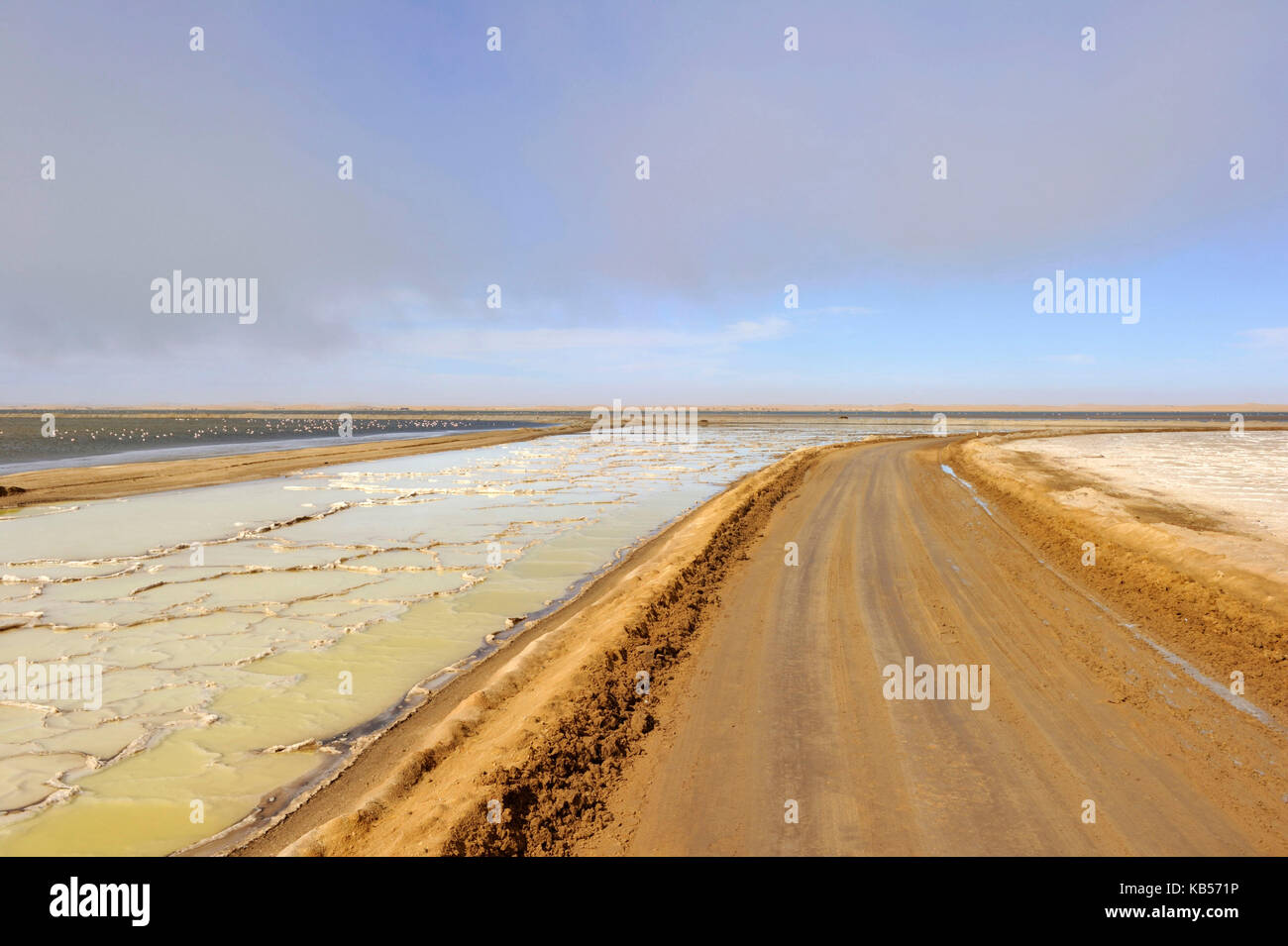 Namibia, Erongo, Walvis Bay, Salt Evaporation Ponds Stock Photo - Alamy
