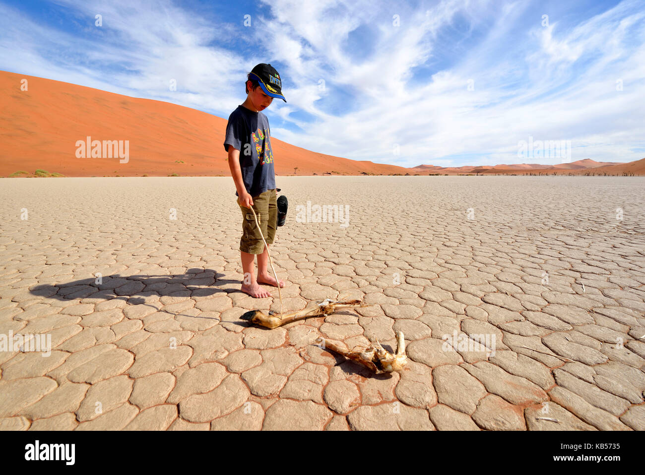 Human bones desert hi-res stock photography and images - Alamy