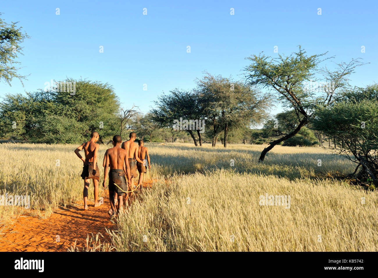 Kalahari bushmen hi-res stock photography and images - Alamy