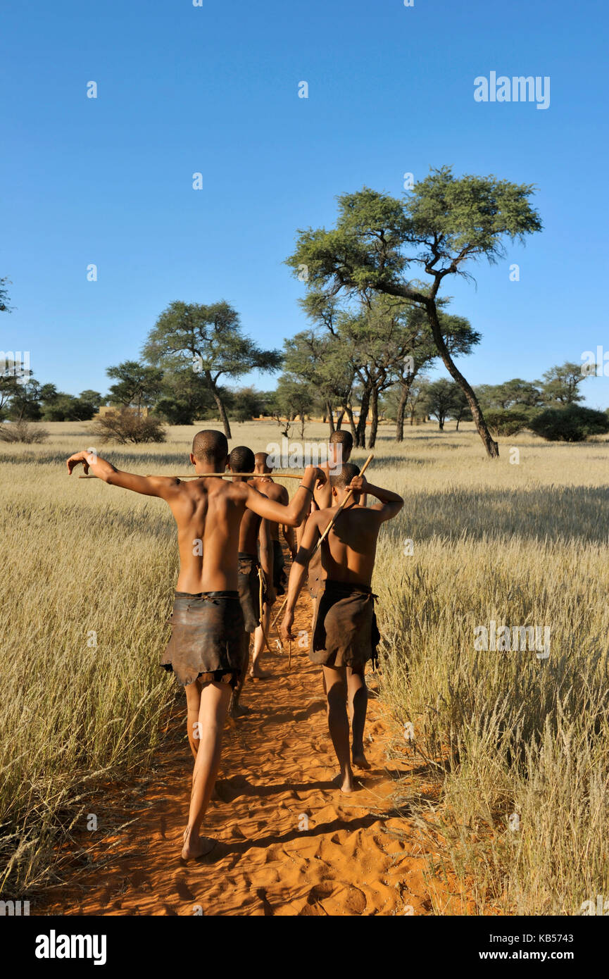 Namibia, Kalahari desert, Intu Africa Kalahari game reserve, morning ...