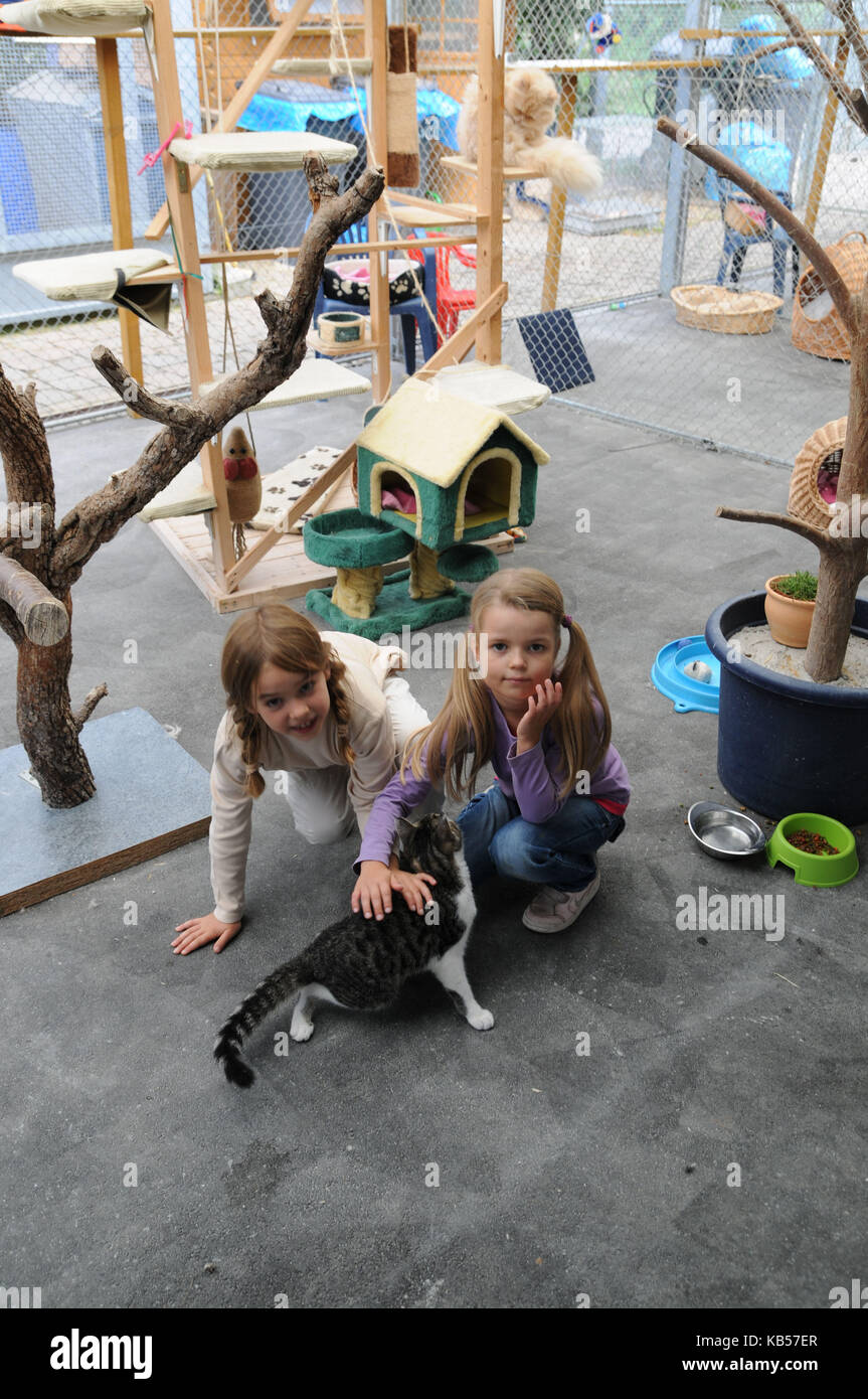 Two girls with plaits in the cat compound at the animal home Stock ...