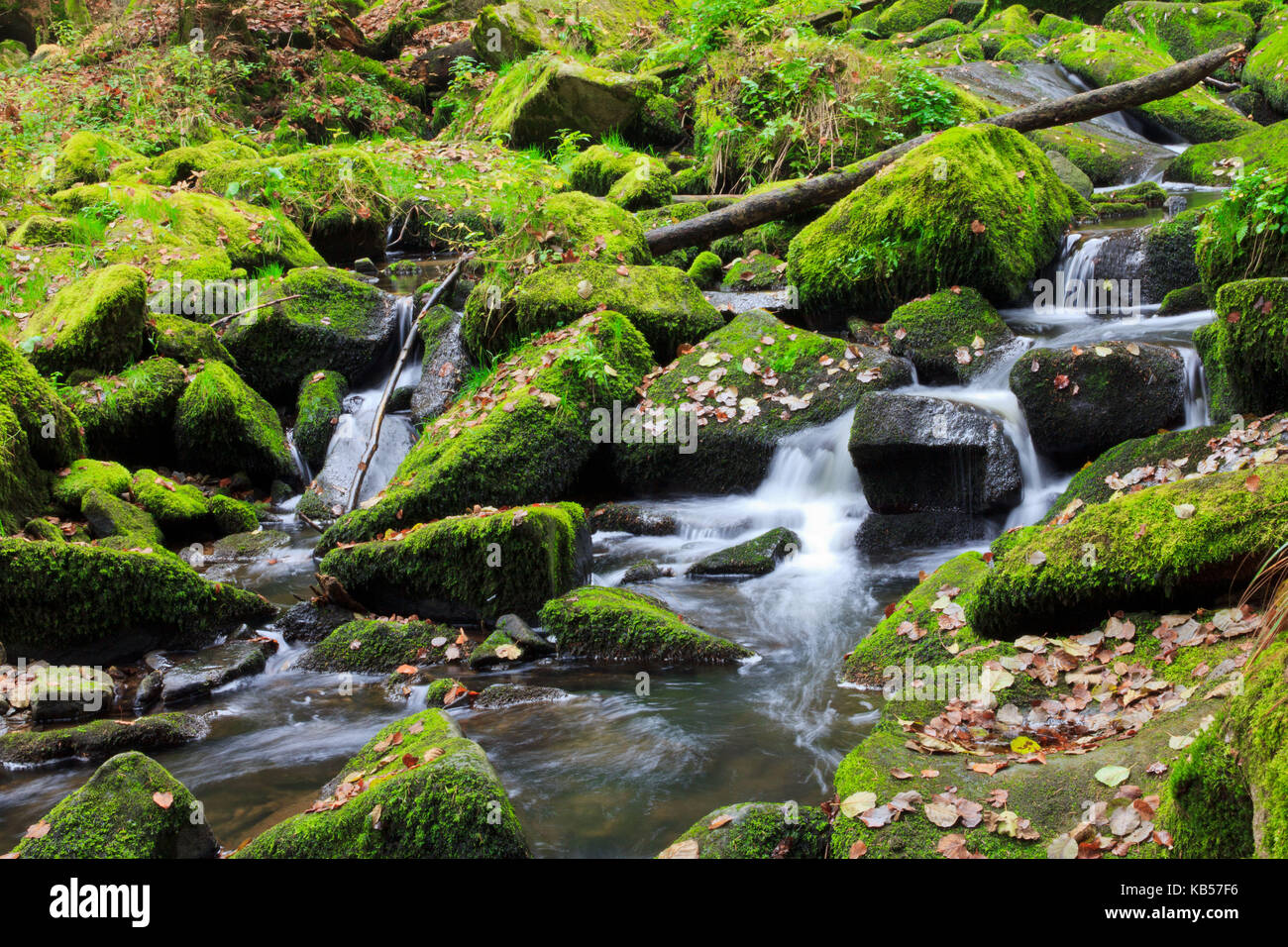 Idyllic stream course Stock Photo - Alamy
