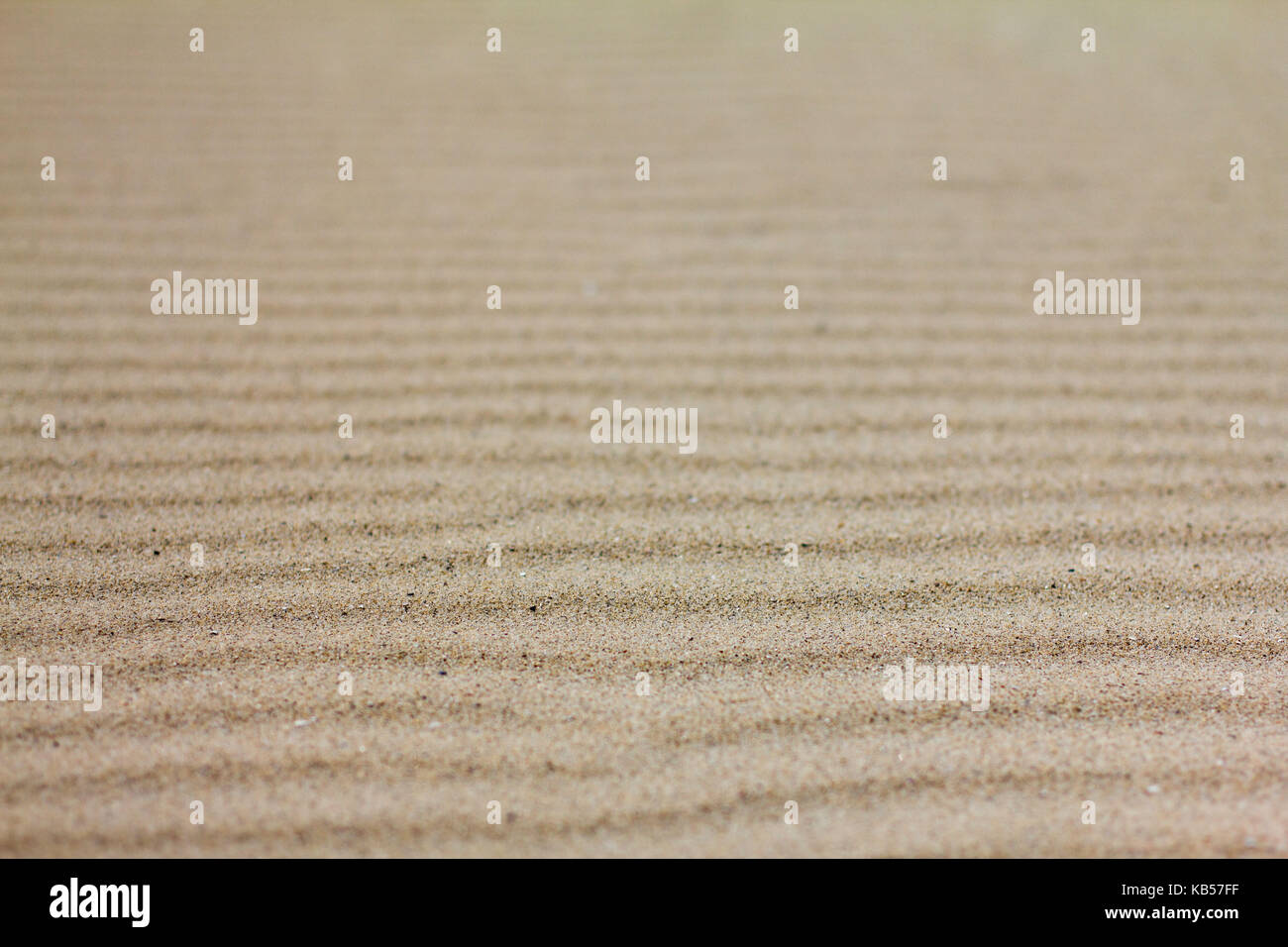 Sandy beach, close-up Stock Photo - Alamy