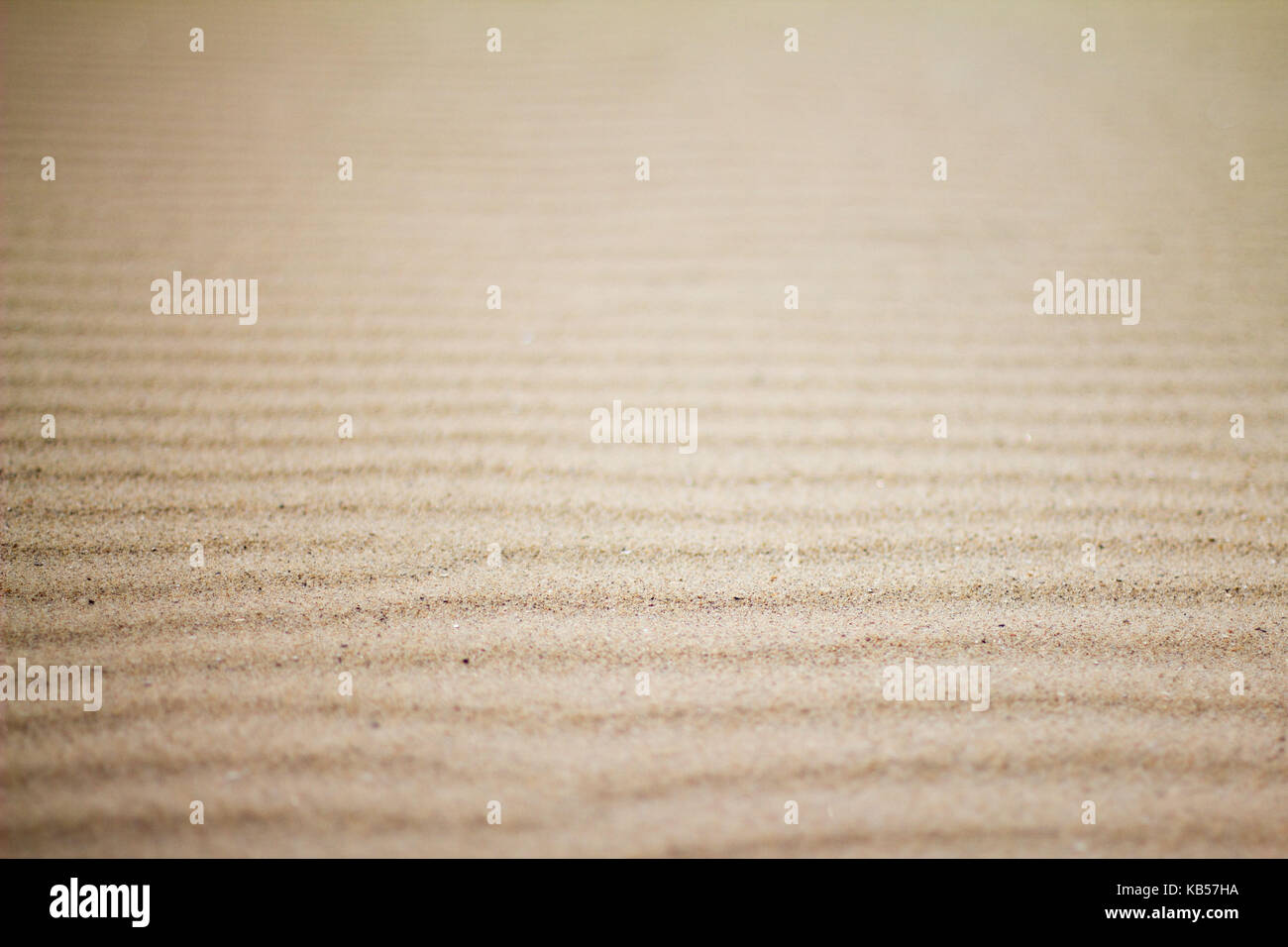 Sandy beach, close-up Stock Photo - Alamy