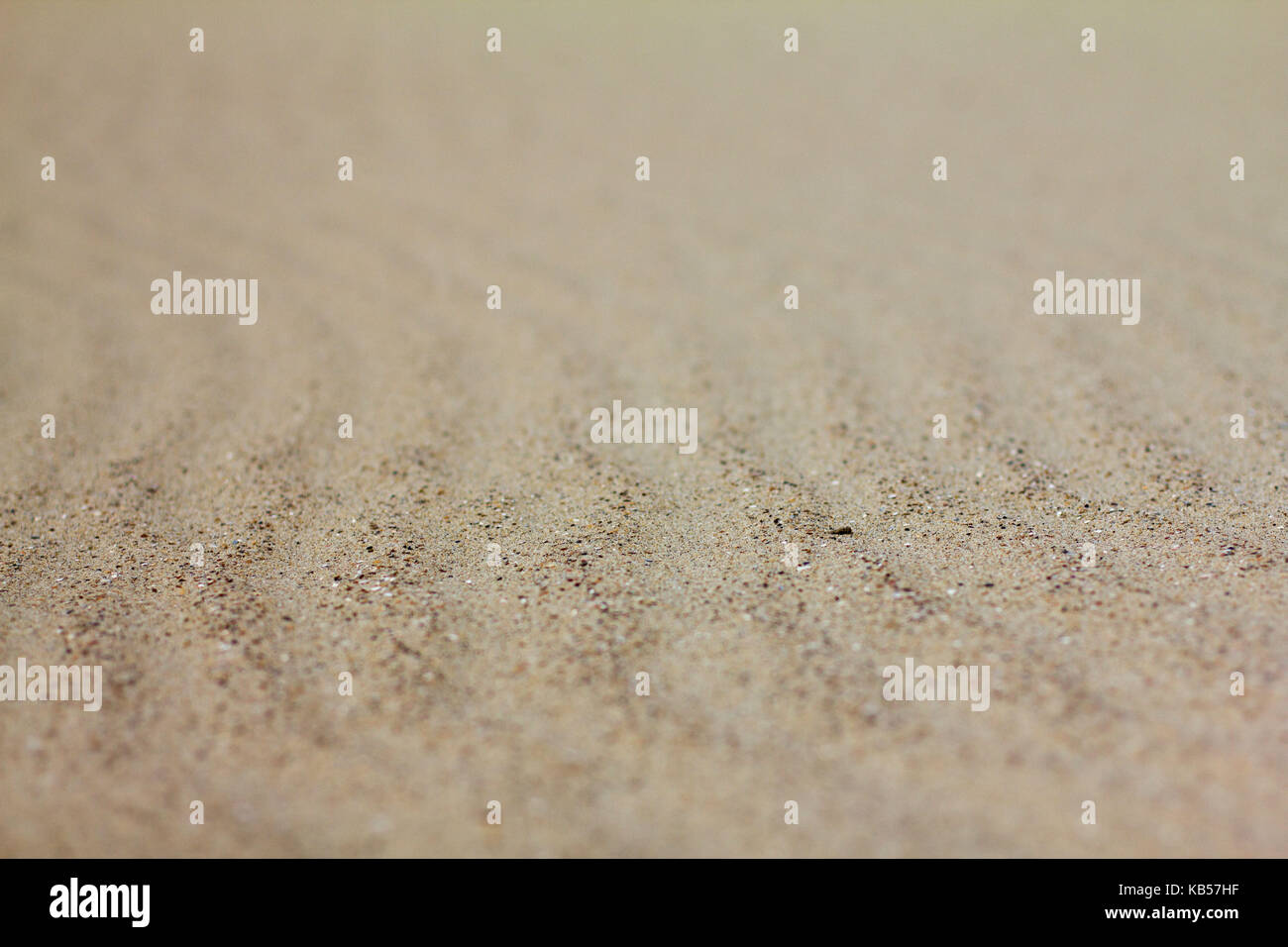 Sandy beach, close-up Stock Photo - Alamy