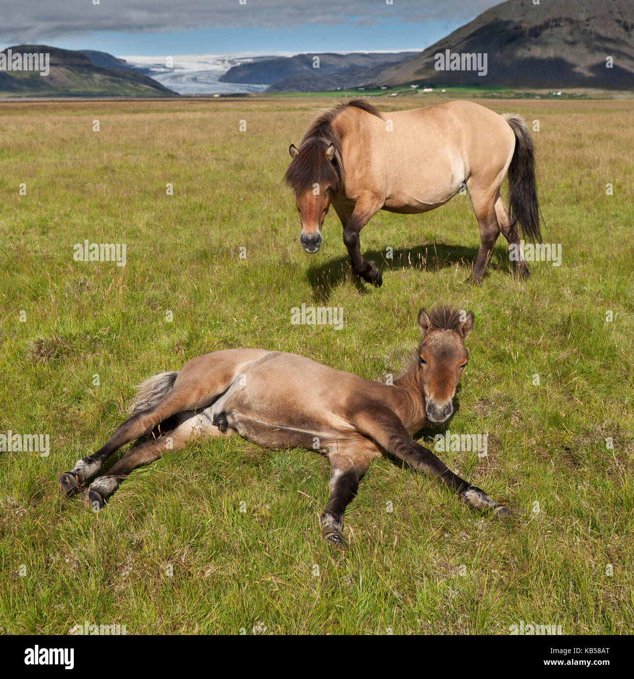 Mare tours hi-res stock photography and images - Alamy