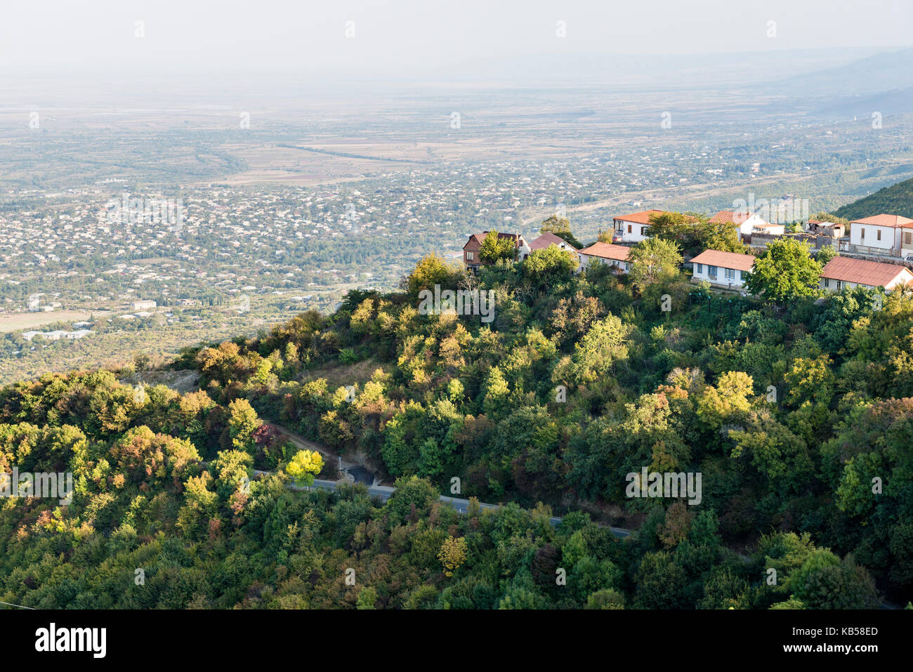 Alazani Valley, forest, trees, Kakheti, Georgia, Sighnaghi, city, hill ...