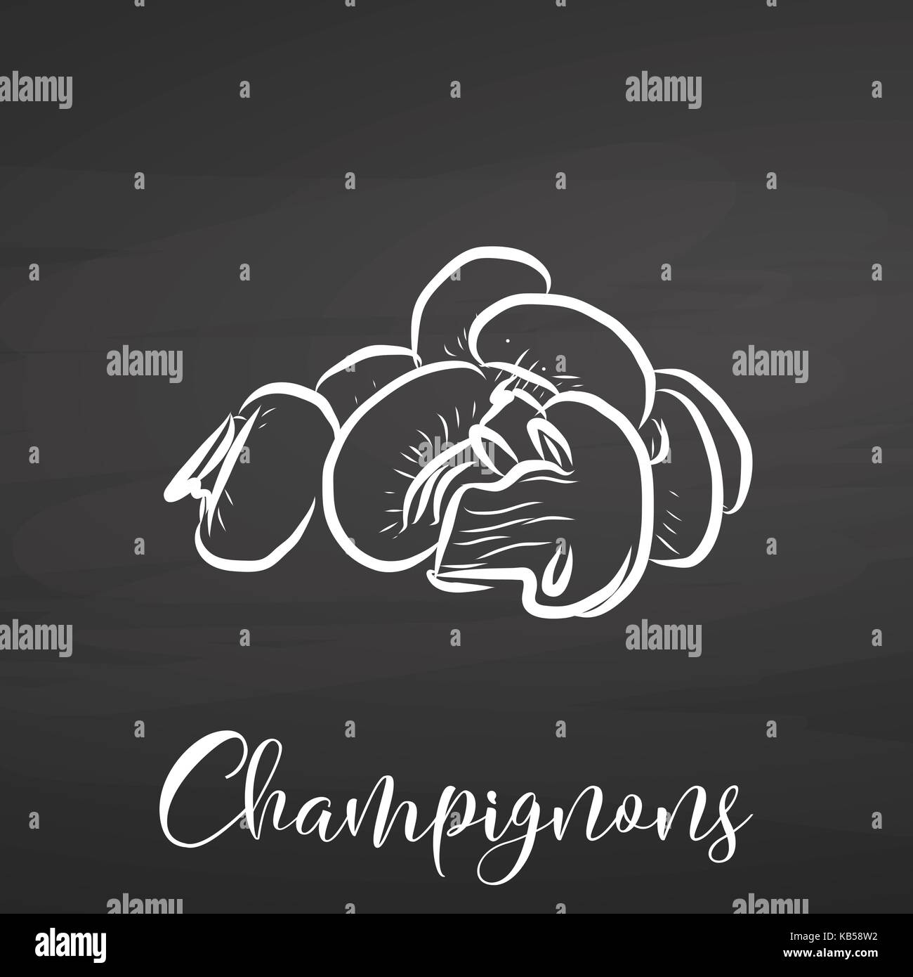 Vector Champignions drawing on chalkboard. Hand drawn healthy food ...