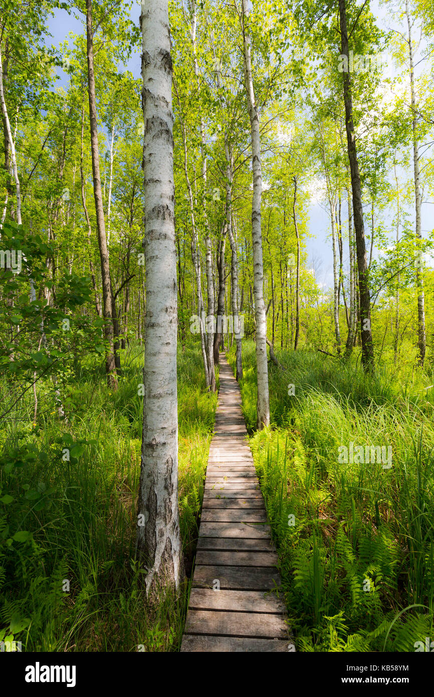 Polesie poland hi-res stock photography and images - Alamy