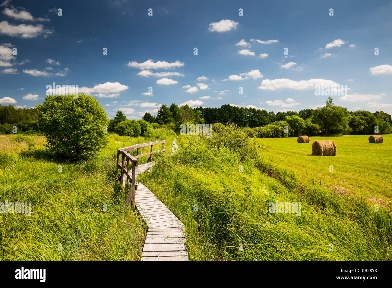 Polesie hi-res stock photography and images - Alamy
