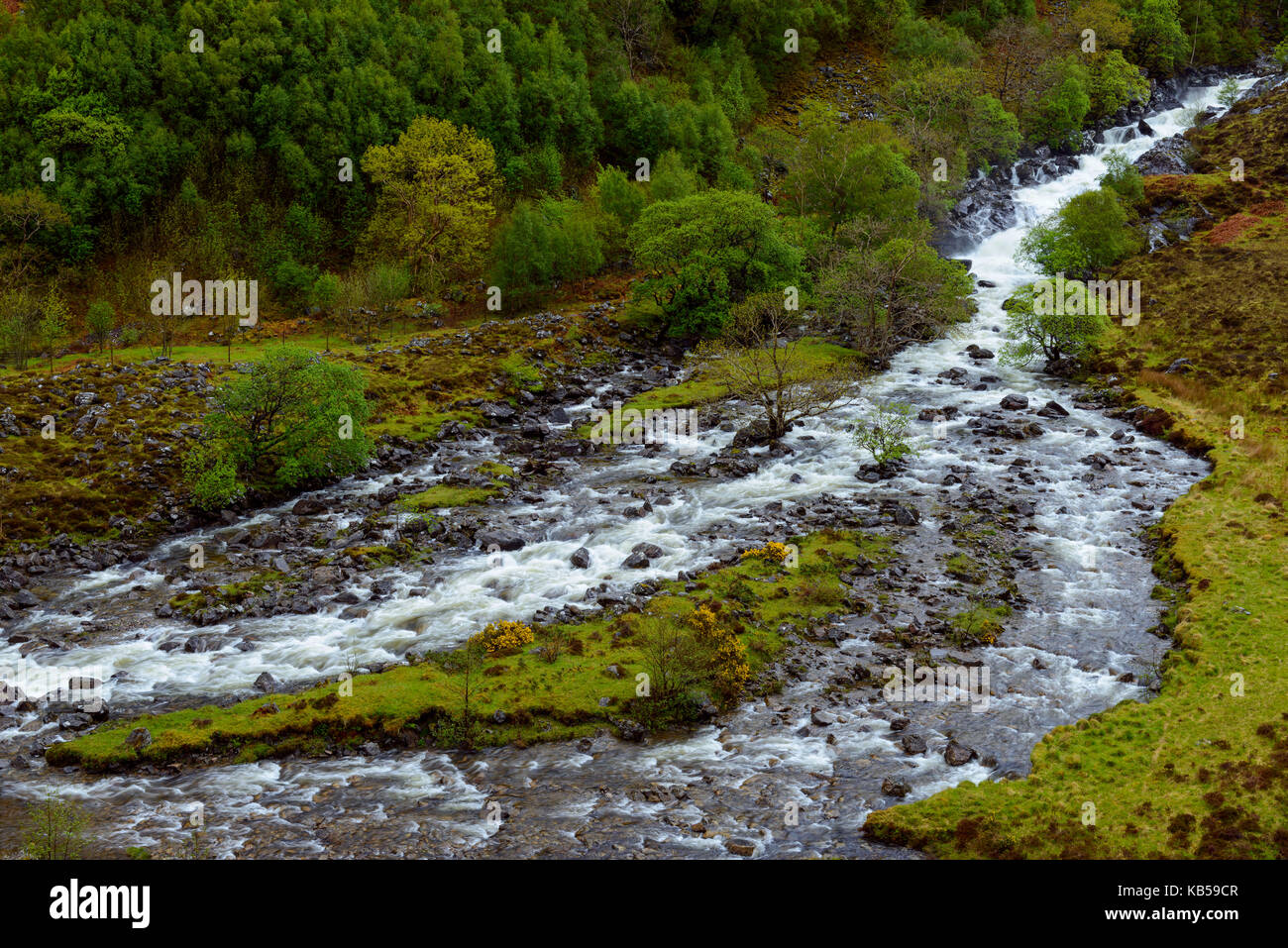 Mountain stream in the highlands in spring, Scotland, United Kingdom ...