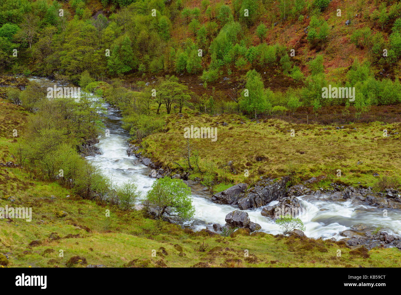 Mountain stream in the highlands in spring, Scotland, United Kingdom ...