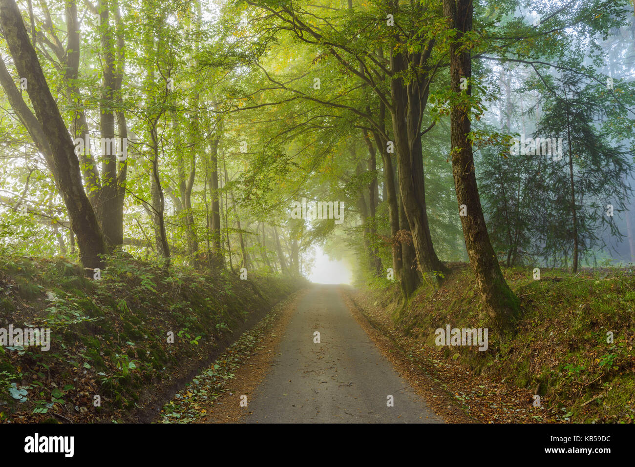 Haze road hi-res stock photography and images - Alamy