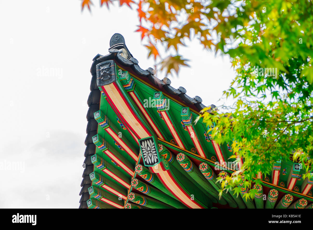 Colorful pattern on the temple roof with maple leafs at Beomeosa temple ...