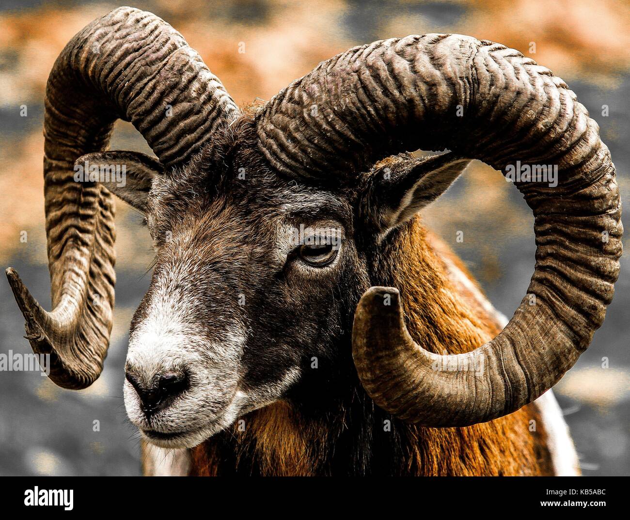 Spatial fidelity hi-res stock photography and images - Alamy