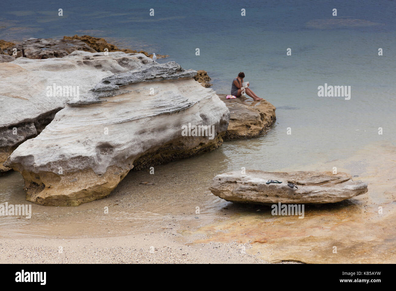 La Perouse, Sydney, NSW, Australia Stock Photo - Alamy La Perouse, Sydney, NSW, Australia Stock Photo - Alamy