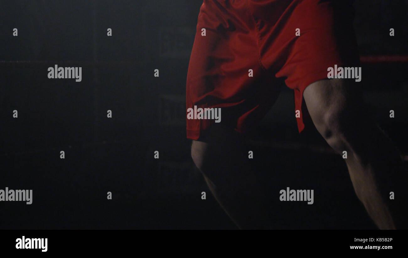 Boxer doing exercises legs. Endurance training for a boxer, you only ...