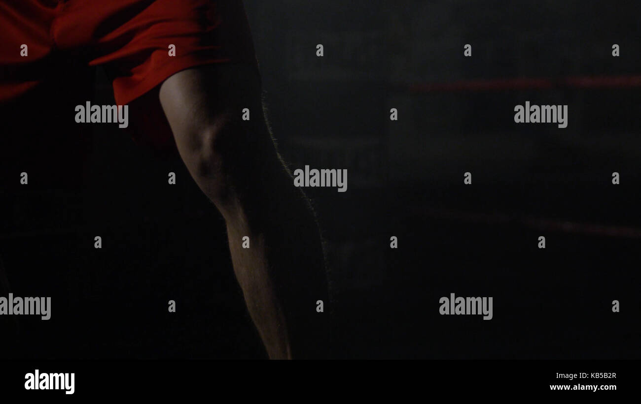 Boxer doing exercises legs hi-res stock photography and images - Alamy