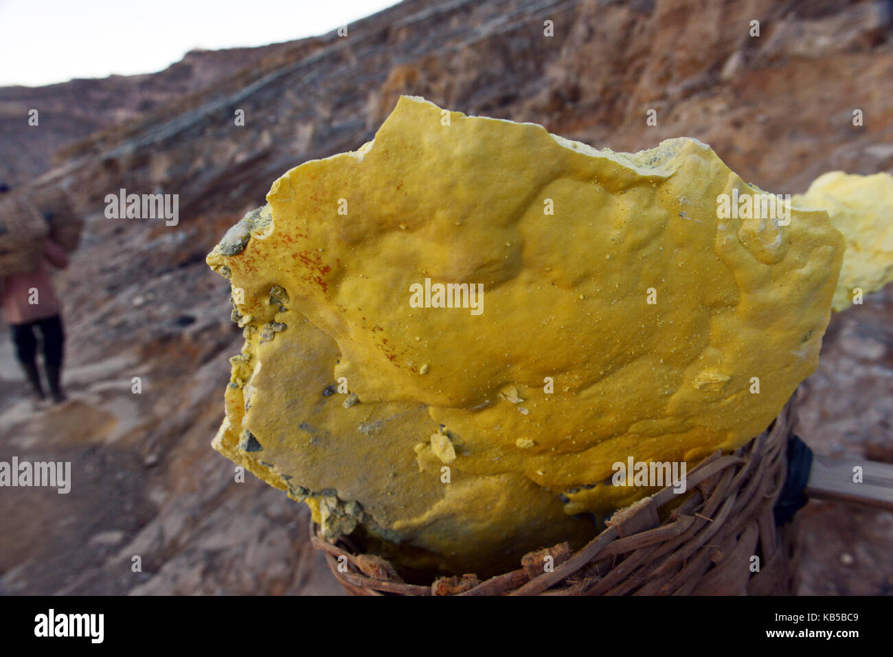 Sulfur miners carrying sulfur from the Ijen volcano crater Stock Photo ...