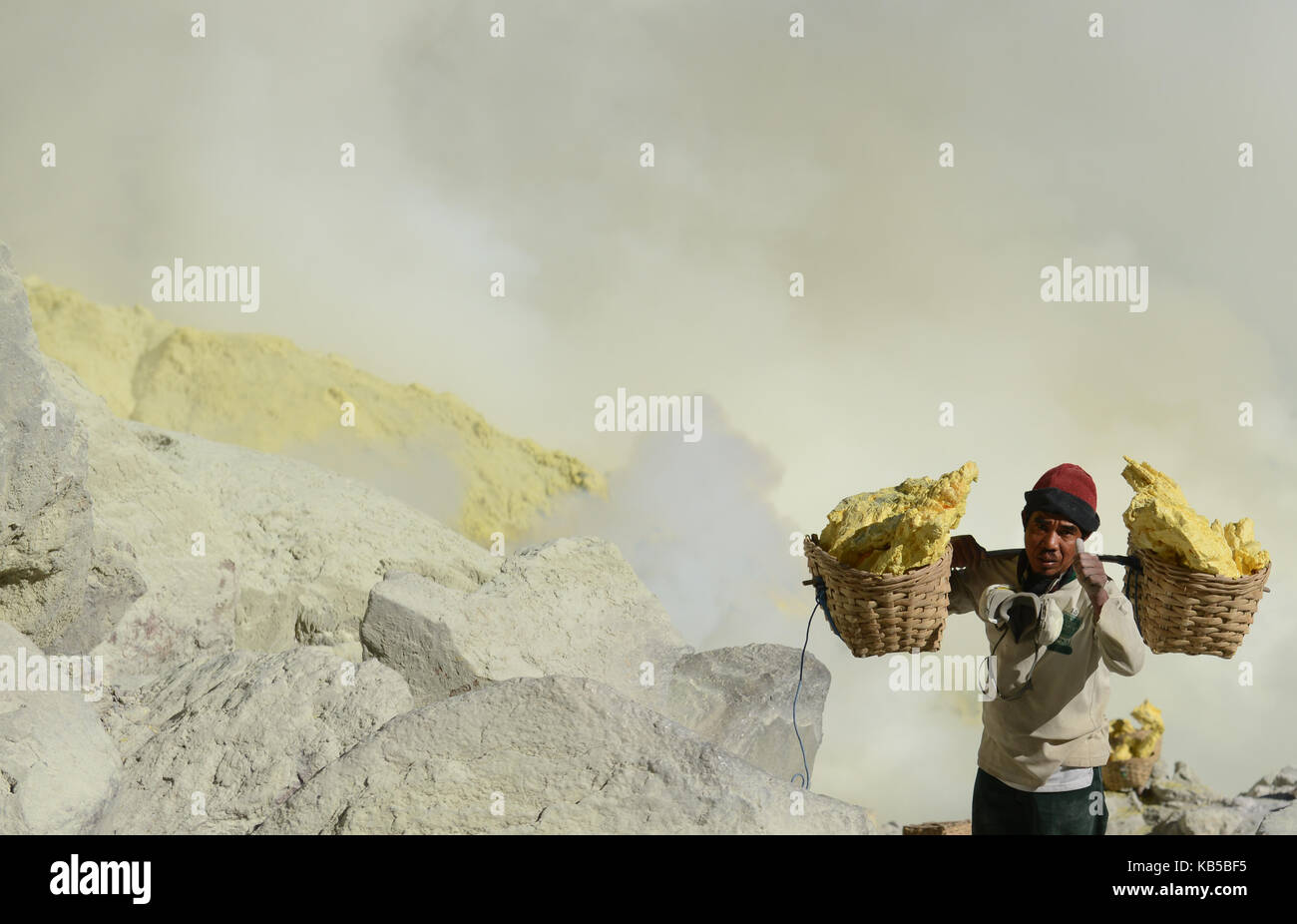 Sulfur miners carrying sulfur from the Ijen volcano crater Stock Photo ...