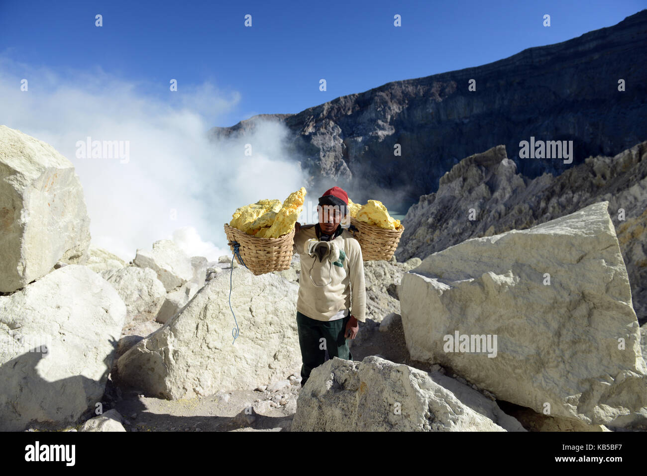 Sulfur miners carrying sulfur from the Ijen volcano crater Stock Photo ...