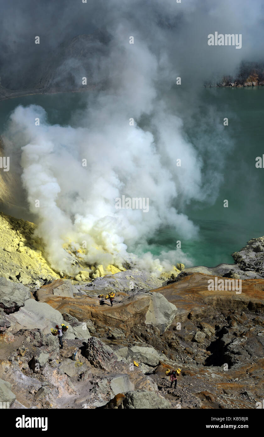 Sulfur miners carrying sulfur from the Ijen volcano crater Stock Photo ...