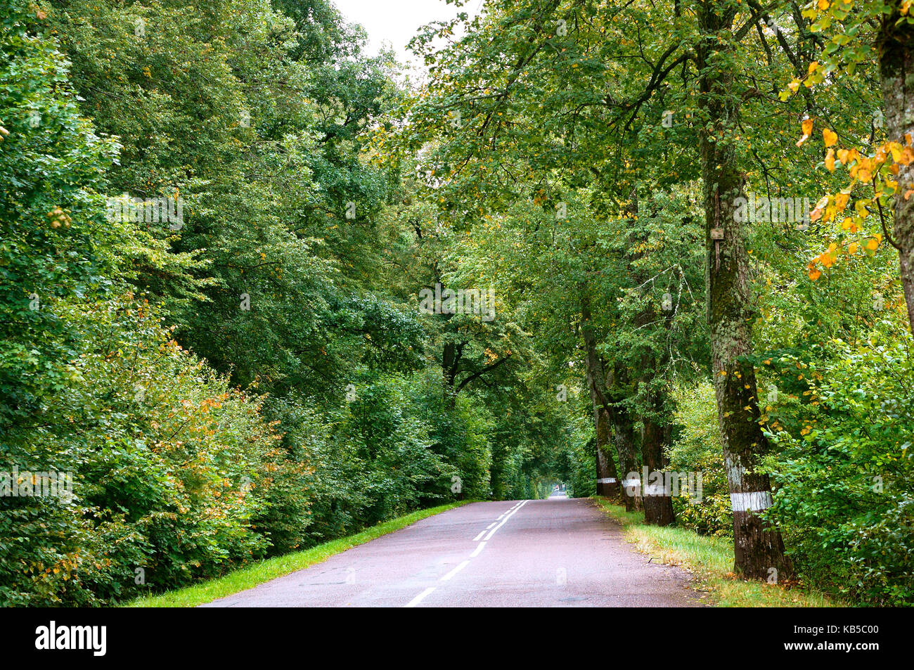 Secondary road hi-res stock photography and images - Alamy