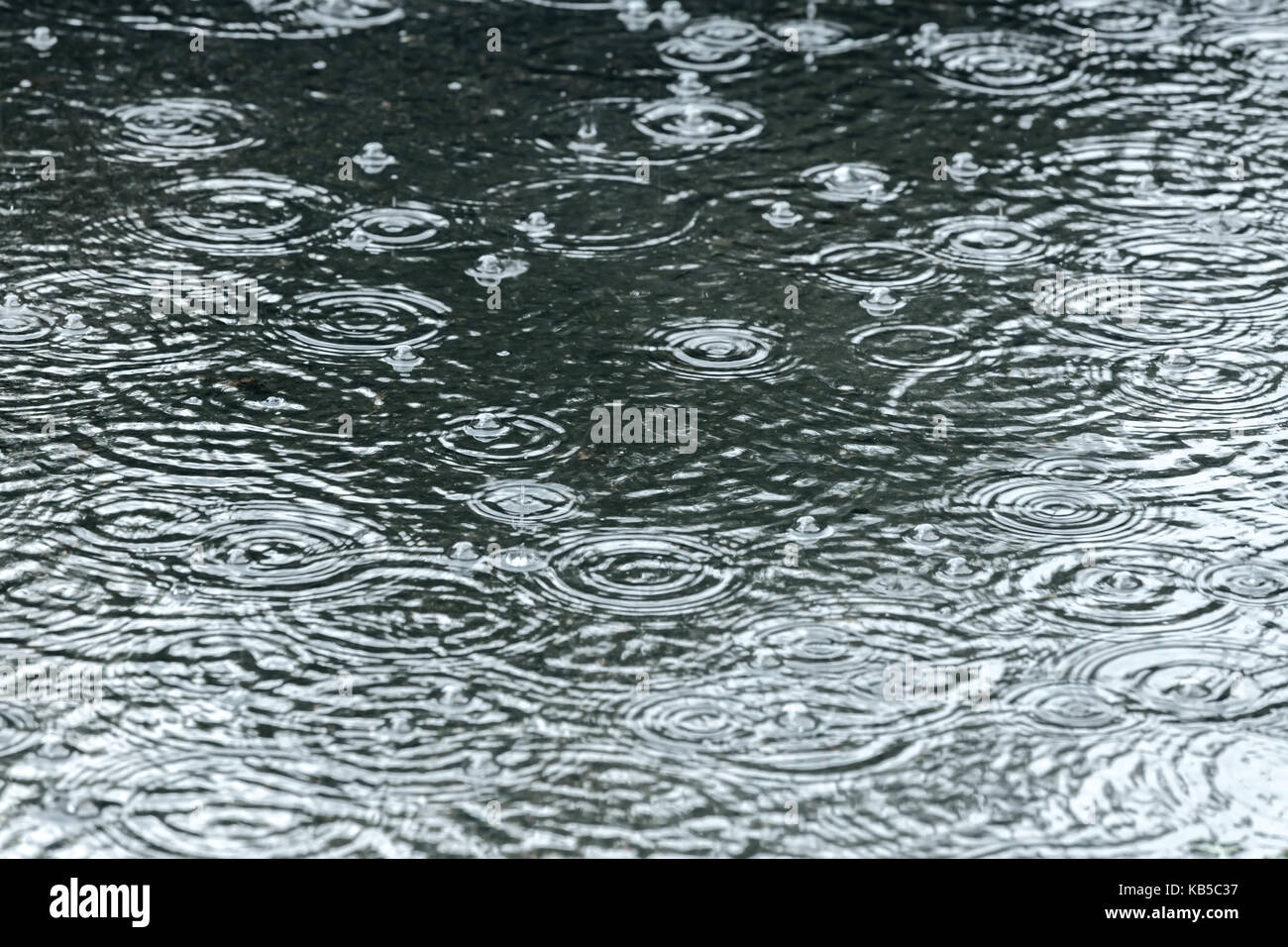 big puddle with ripples and bubbles. city sidewalk during heavy rain ...