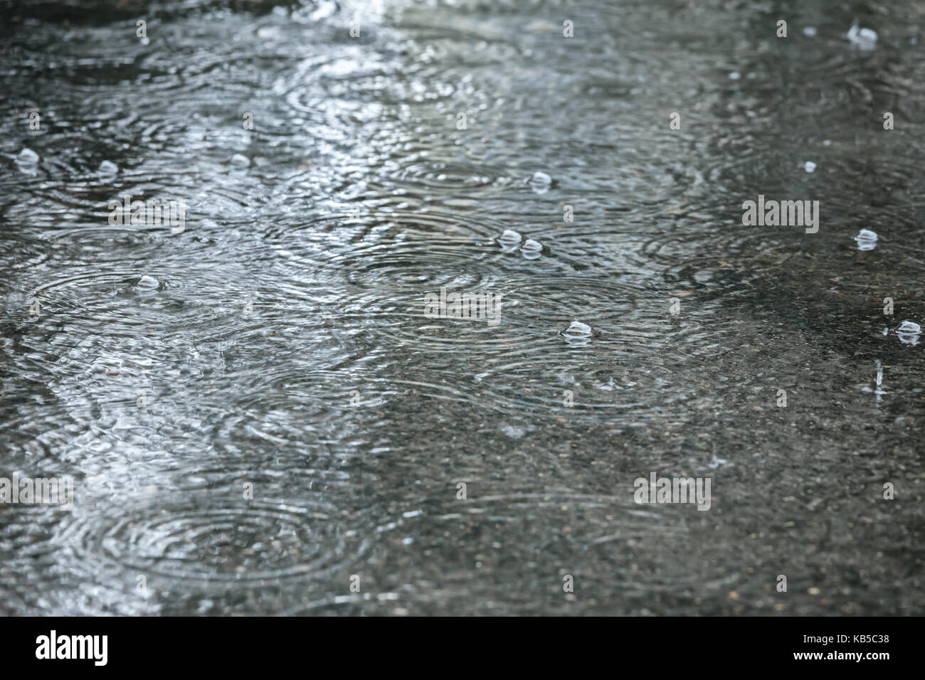 rain dropping on asphalt sidewalk, creating bubbles and ripples Stock ...
