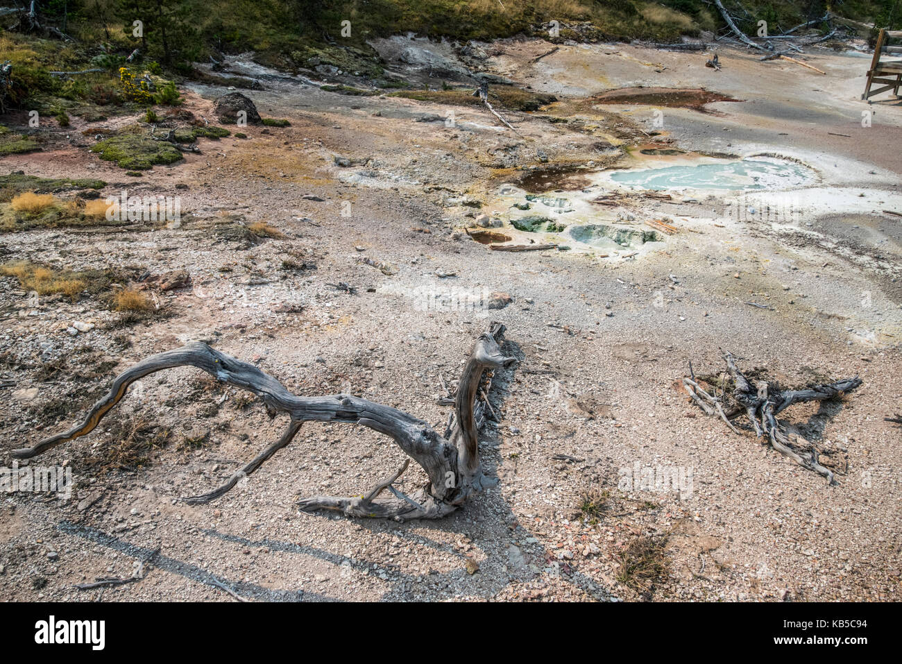 Artists Paint Pots, Geyser Basin, Yellowstone National Park, Wyoming ...