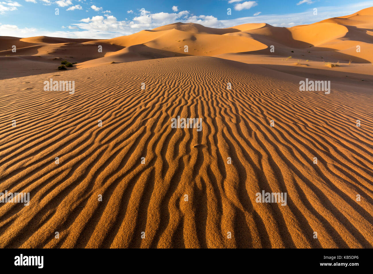 Wide angle view of the ripples and dunes of the Erg Chebbi Sand sea ...