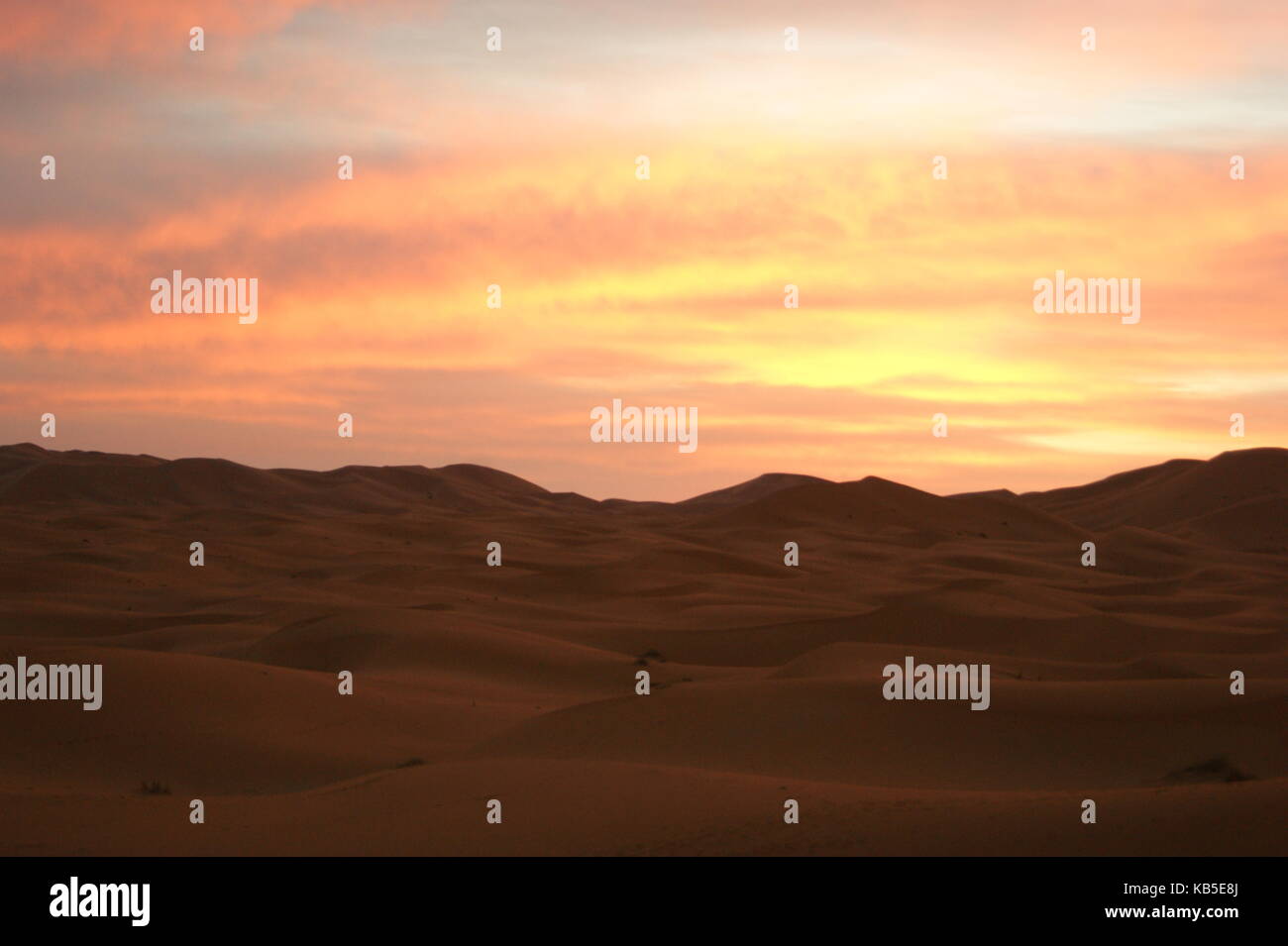 Erfoud hi-res stock photography and images - Alamy