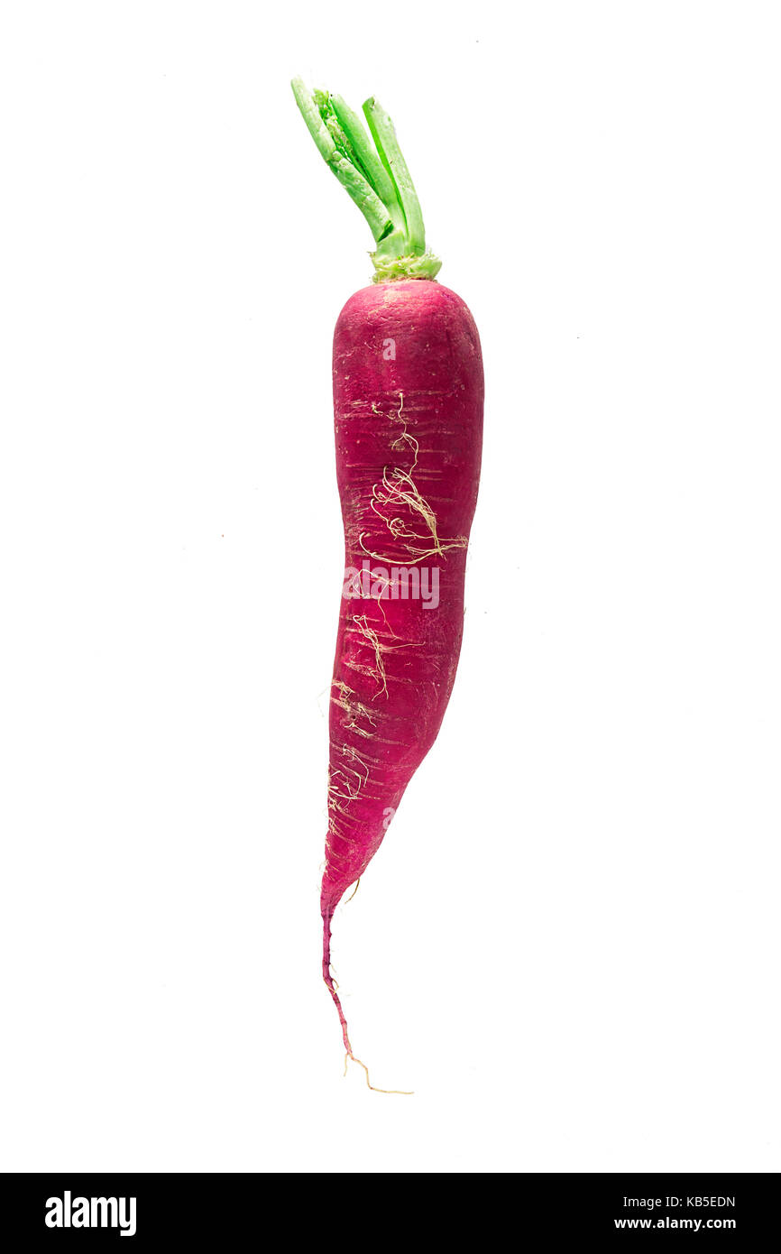 fresh long radish isolated on white background Stock Photo - Alamy