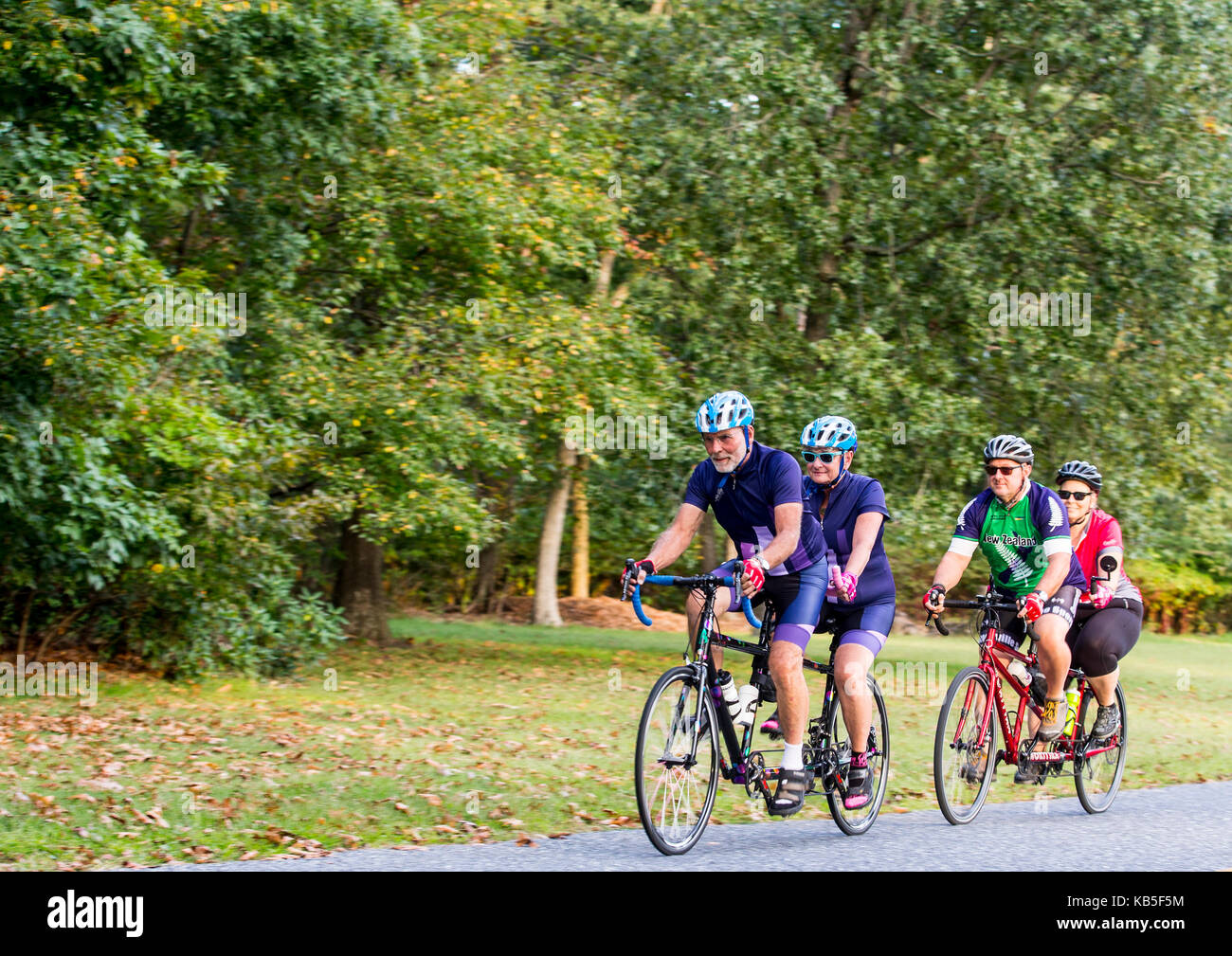 Tandem cyclists riding their bicycles Stock Photo - Alamy